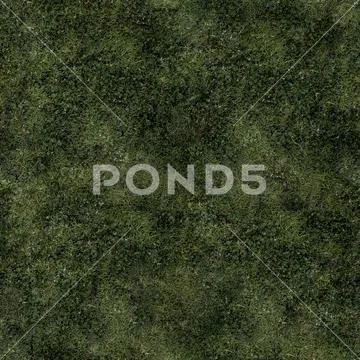 Grass Texture Seamless Material Map ~ Clip Art #125092627