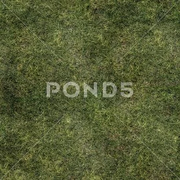 Grass Texture Seamless Material Map ~ Clip Art #125092663