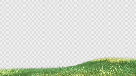 Blowing Grass Alpha Stock Footage ~ Royalty Free Stock Videos | Pond5