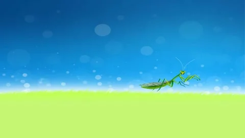 Grasshopper animation 2d animated backgr... | Stock Video | Pond5