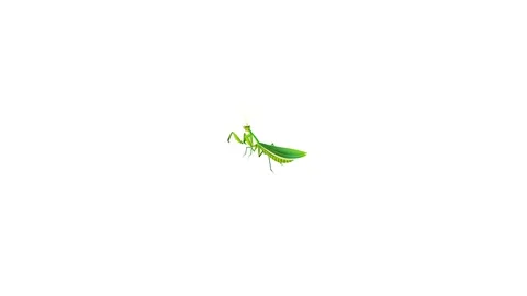 Grasshopper animation 2d animated backgr... | Stock Video | Pond5