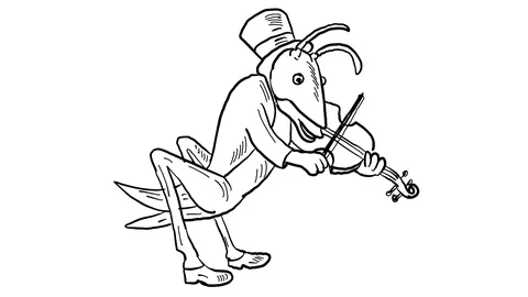 Grasshopper Fiddler Drawing 2D Animation | Stock Video | Pond5