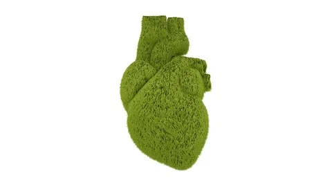 Grassy Heart beating on white background... | Stock Video | Pond5