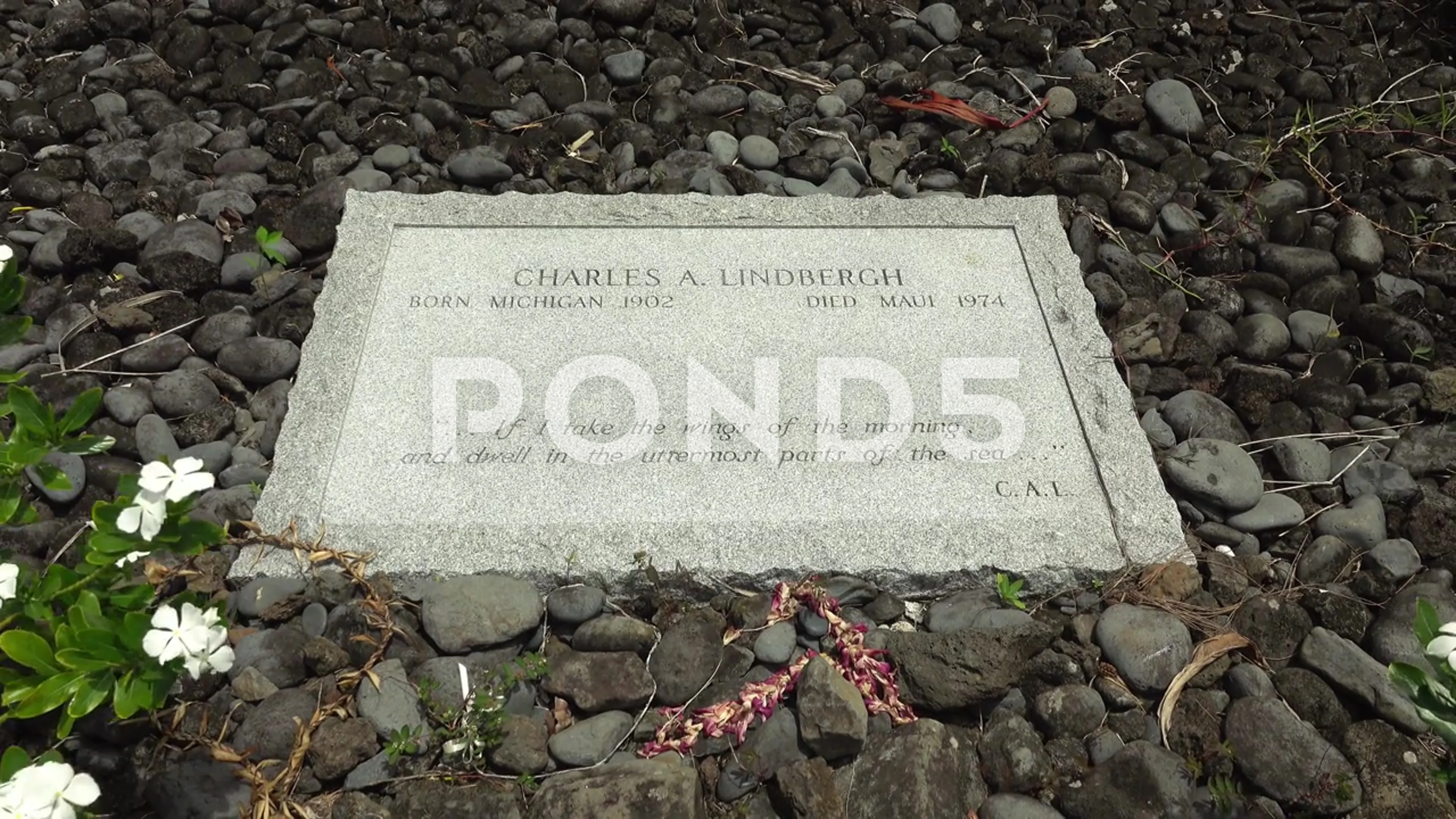 Charles Lindbergh Jr Grave