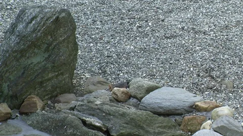 Gravel and rock feature of a Japanese ka... | Stock Video | Pond5