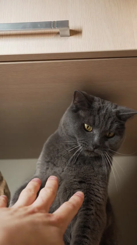 Biting Finger Stock Videos – Royalty-Free HD & 4K Videos | Pond5