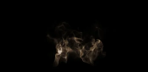 Movie Burn Alpha Stock Footage ~ Royalty Free Stock Videos | Pond5