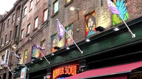 Rain Beatles Stock Videos – Royalty-Free HD & 4K Videos