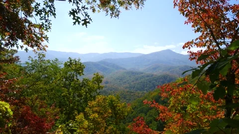Great Smoky Mountains Fall Foliage - Ten... | Stock Video | Pond5