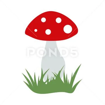 Great toadstool on white background. Vector image. ~ Clip Art #153893035