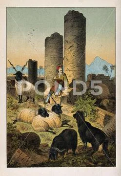 A Greek shepherd resting on the ruins of a temple near his flock ...