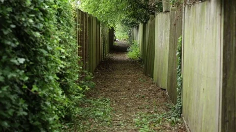 Green alley way covered in creeper in En... | Stock Video | Pond5