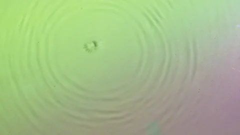 Blurry Background Image Stock Videos – Royalty-Free HD & 4K Videos | Pond5