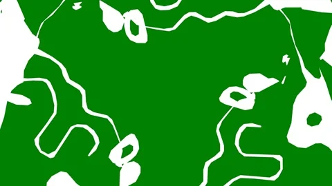 Leaf Border Pattern Stock Videos – Royalty-Free HD & 4K Videos