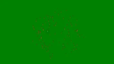 Flower Border Graphic Stock Videos – Royalty-Free HD & 4K Videos | Page 2