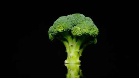 Green broccoli in form of tree rotating ... | Stock Video | Pond5