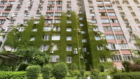 Green building with plants growing on th... | Stock Video | Pond5