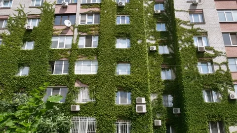Green building with plants growing on th... | Stock Video | Pond5