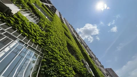 Green building with plants growing on th... | Stock Video | Pond5