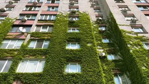 Green building with plants growing on th... | Stock Video | Pond5