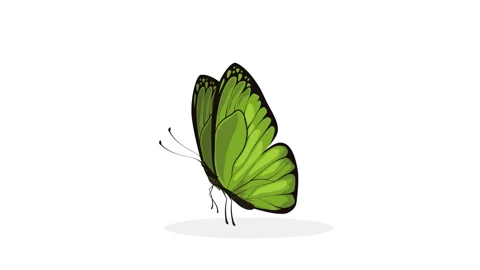 green butterfly insect flying animation | Stock Video | Pond5