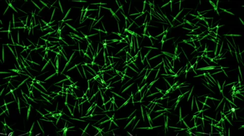 green cells and virus under microscope.t... | Stock Video | Pond5