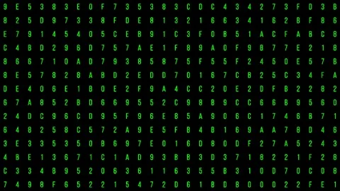 Motionvfx Code Stock Video Footage | Royalty Free Motionvfx Code Videos | Pond5