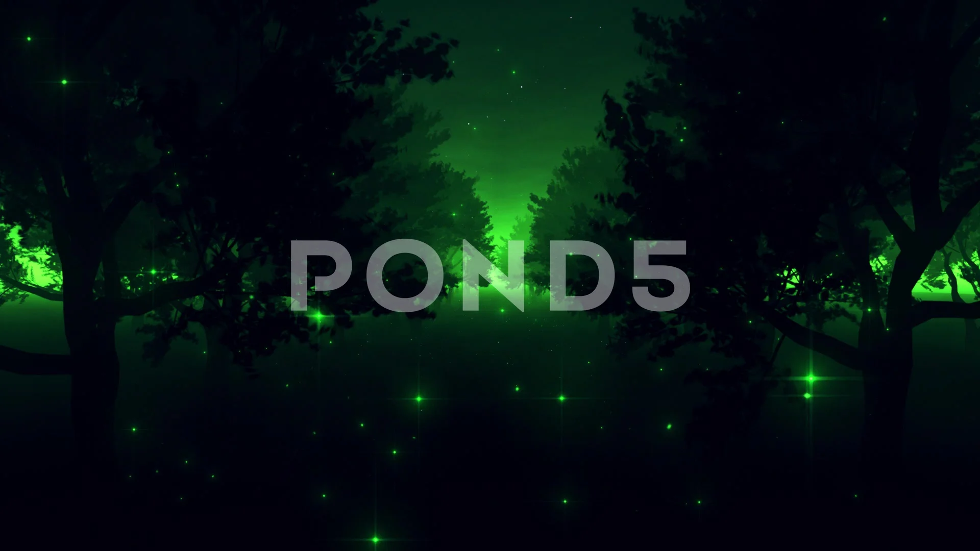 Enchanted Forest Night Enchanted Forest 🧚🏻♀🍄