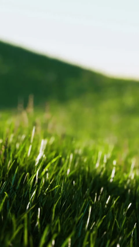 A Nice Background Stock Videos – Royalty-Free HD & 4K Videos | Page 5