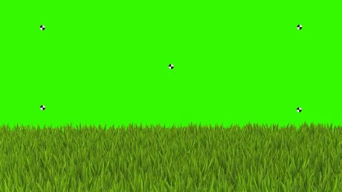 Grass Animation Video Stock Footage ~ Royalty Free Stock Videos | Pond5
