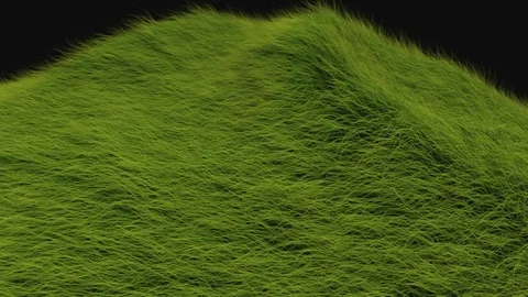 Grow Model Video Stock Videos – Royalty-Free HD & 4K Videos | Pond5