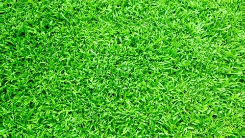 Green Grass Background with Wave Effect ... | Stock Video | Pond5