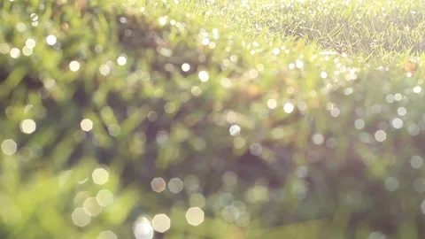 Grass Overlay Stock Footage ~ Royalty Free Stock Videos | Pond5