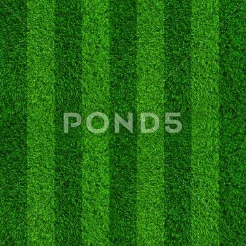 Green grass soccer field background ~ Clip Art #61078363