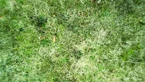 Green Grass Zoom In Motion Background | Stock Video | Pond5