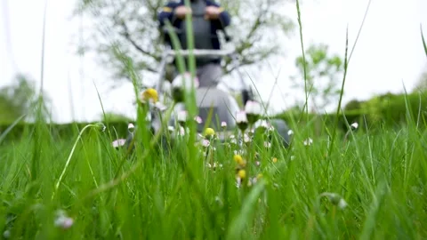 See Background Stock Videos – Royalty-Free HD & 4K Videos