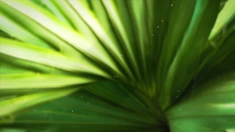 green leaf moving zoom in for background... | Stock Video | Pond5