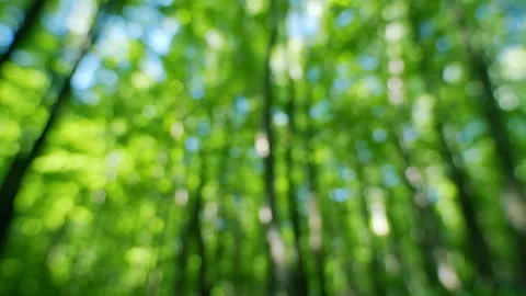 Through T Stock Videos – Royalty-Free HD & 4K Videos