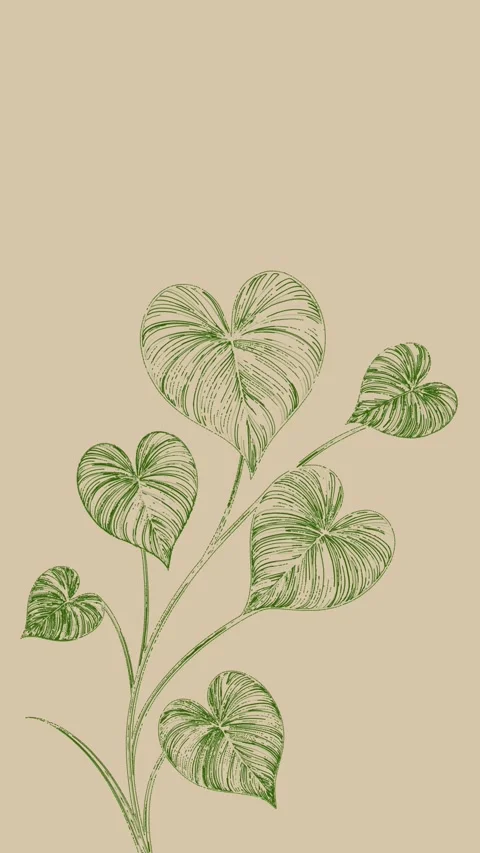 Promo Intro Stock Videos – Royalty-Free HD & 4K Videos