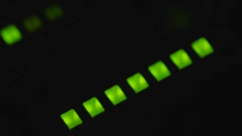 Wled Sound Stock Videos – Royalty-Free HD & 4K Videos