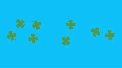 Green Lucky leaves animation on blue scr... | Stock Video | Pond5