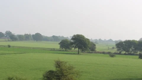 green mixed forest side view of Nature | Stock Video | Pond5