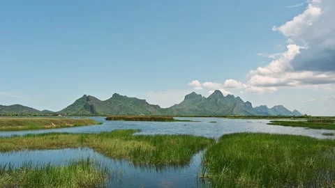 Sam Green Stock Videos – Royalty-Free HD & 4K Videos