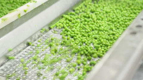 Green peas washed and sorted in a canned... | Stock Video | Pond5