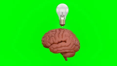 green screen animation of brain light bu... | Stock Video | Pond5