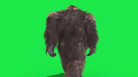 Screen Bback Stock Videos – Royalty-Free HD & 4K Videos