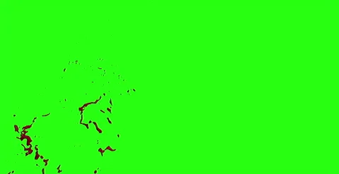 Green screen blood splatter from lower l... | Stock Video | Pond5