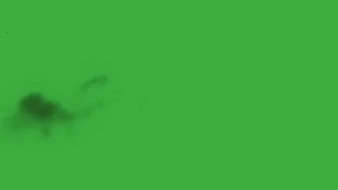 Green screen chroma key animation video ... | Stock Video | Pond5