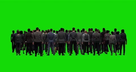 GREEN SCREEN CHROMA KEY Back view of big... | Stock Video | Pond5