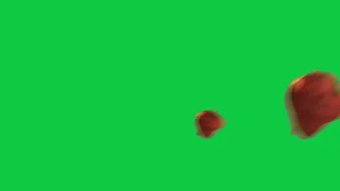 Green screen with floating orange petals... | Stock Video | Pond5